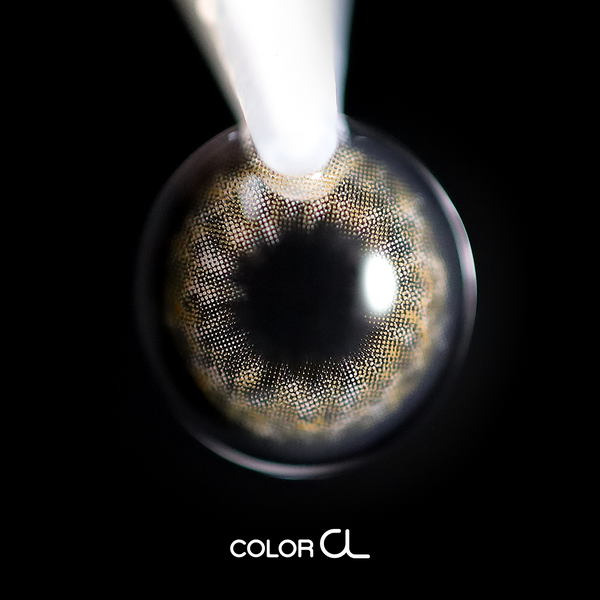 Persona Loyal – COLORCL